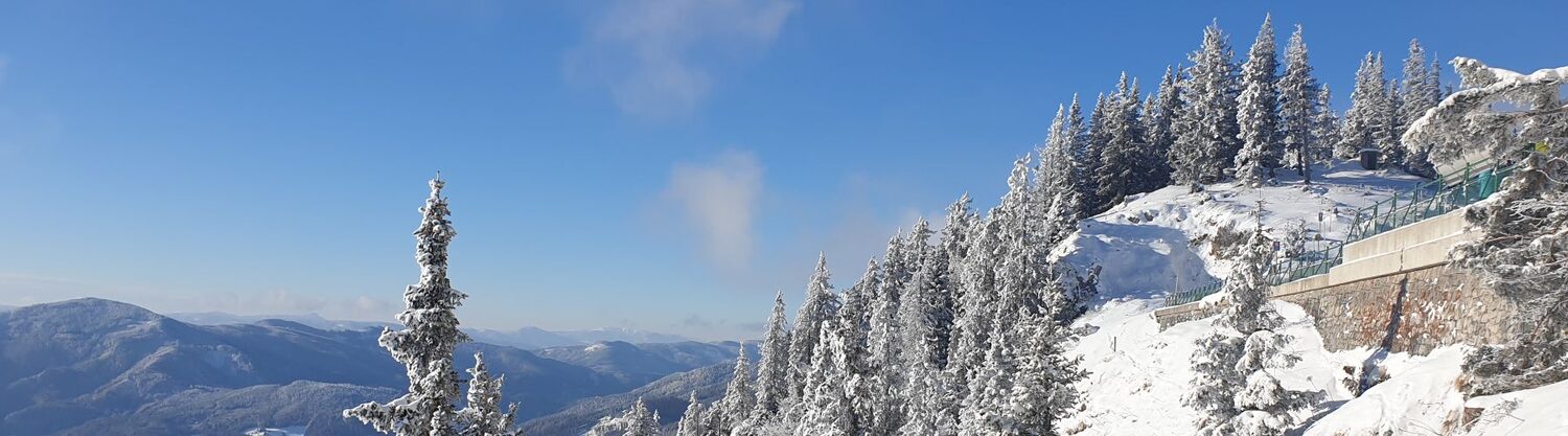 Wandern in der Natur - Erlebe die Schönheit zu Fuß!