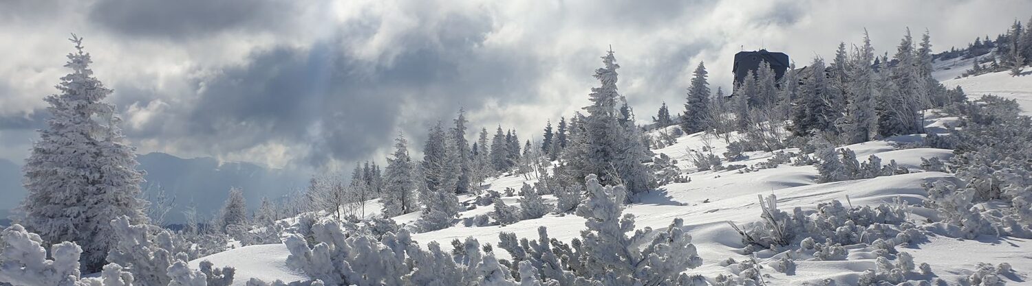 Live-Webcam der Rax-Alpe: Echtzeit-Panorama und Aussicht