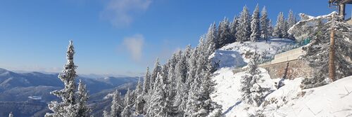 Rax-Seilbahn: Wanderwege und Almhütten in 8 Min. erreichen